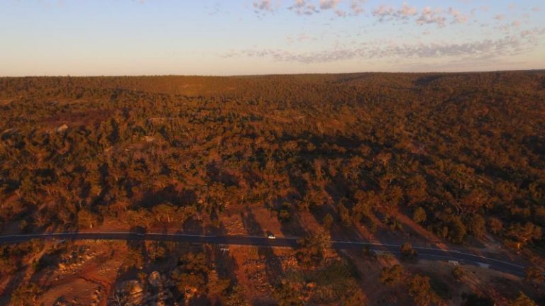Why rally driving in Perth is so special - Ball bearings and trees